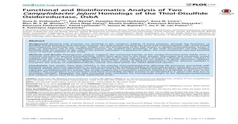 Pdf Functional And Bioinformatics Analysis Of Two Dokumen Tips