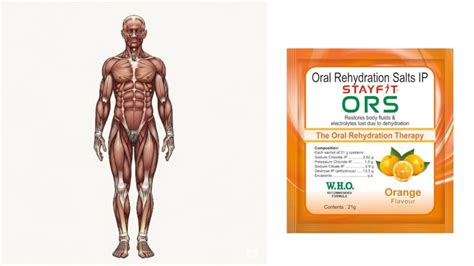 What Happens If You Drink Ors Every Day Risks Benefits And Safe Usage Tips