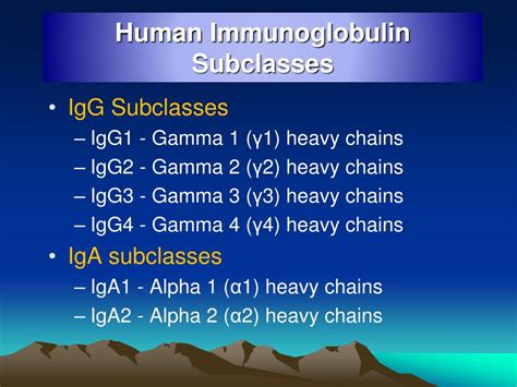 Ppt Immunoglobulin Structure And Function Powerpoint Presentation
