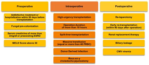 Invasive Fungal Infection Treatment Guidelines At Matthew Elmore Blog