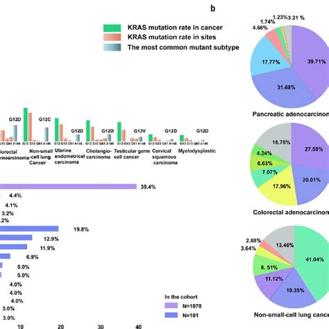 Kras Mutation In Cancer A The Frequency Of Kras Mutations Across