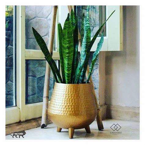 Golden Round Balcony Brass Planters For Garden 16 Inch At Rs 800