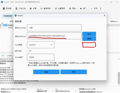 Feature request 增加在 自定义配置 对话框 修改配置文件名功能 Issue dust v rayN GitHub