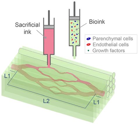 Schematic Of A 3d Bioprinting Configuration Download Scientific Diagram