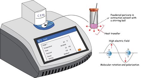 Schematic Process Of Microwave Extraction Of Purple Corn Pericarp
