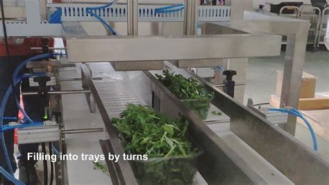 Multihead Weigher Smartpack