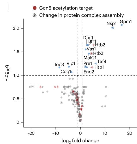Volcano Plots For Differential Expression Analysis A Practical Guide