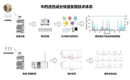 中药资源系