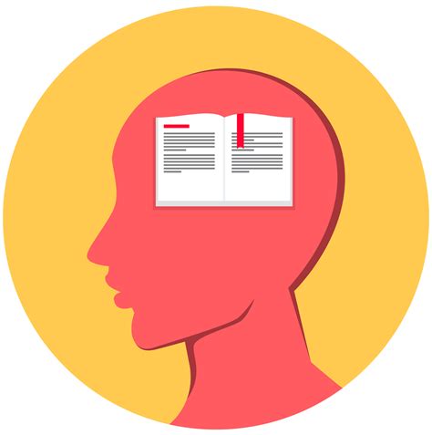 أكاديمية هائم haim academy