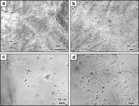 Fluid Inclusion Characteristics Of Extensional Vein Quartz A Wispy Download Scientific