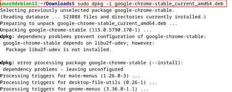 How To Install Packages On Debian Linuxways