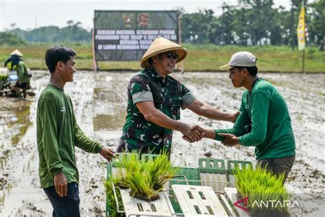 Program ketahanan pangan nasional tahap kedua - ANTARA News