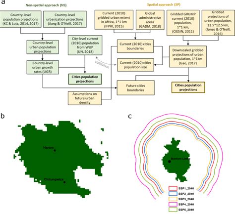 a schematic workflow of the spatial sp and non spatial ns