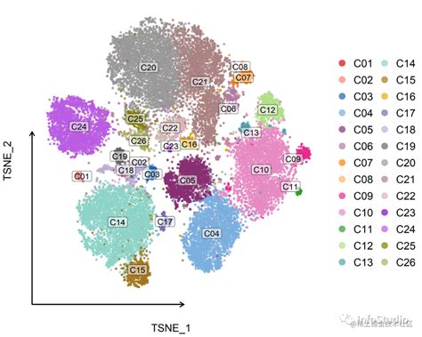 如何利用ggplot2画发文章级别的t Sne图 掘金 如何利用ggplot2画发文章级别的t Sne图 掘金