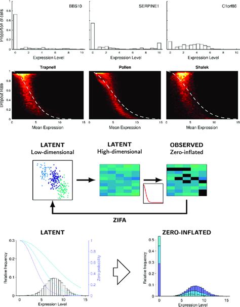 Zero Inflation In Single Cell Expression Data A Illustrative
