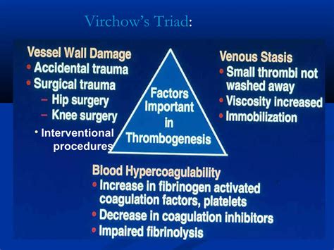 Anticoagulation In Diagnostic And Interventional Procedure And Monitoring And Antiplatelet Drugs