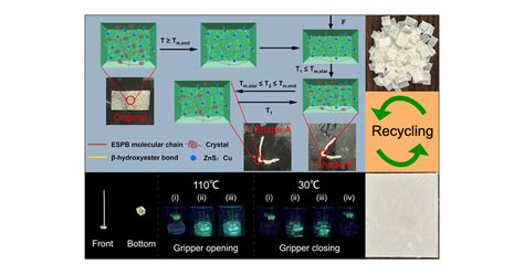 photoluminescence thermadapt two way shape memory polymers based on