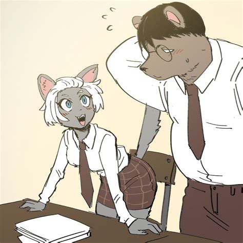 Furry Cat Furry Cat Furry Bear Furry Feline Furry Bear