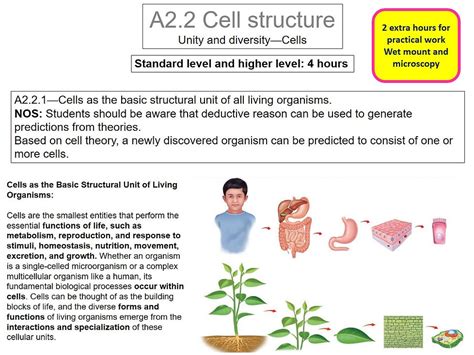 A Cell Structure Ibdpbiology