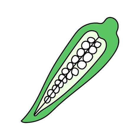 색 배경에 고립된 터 스타일의 오크라 프리미엄 벡터