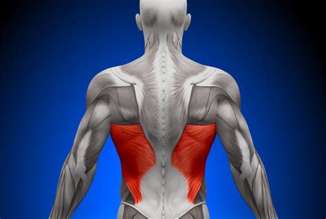 Muscle Spasm Archives Spinal Backrack