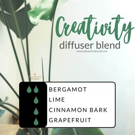 Passover Diffuser Blends Desert Naturals Essential Oils And