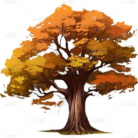 秋季秋天手绘插画植物树木