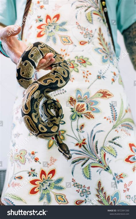 Python Tattoo