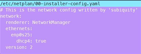 Network Plugin Issue Keyerror Ethernets · Issue 1423 · Ajenti