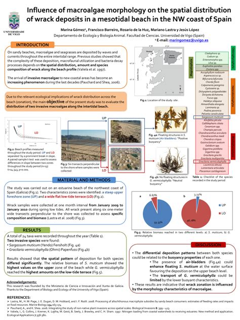 Pdf Influence Of Macroalgae Morphology On The Spatial Distribution Of