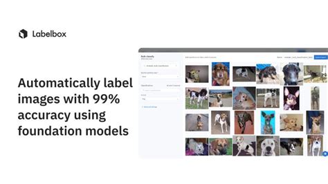 Labelbox On Linkedin Turning Vast Amounts Of Unstructured Data Into Reliable Accurate Ai