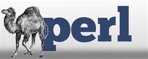 Learn About One Liners In Perl Programming