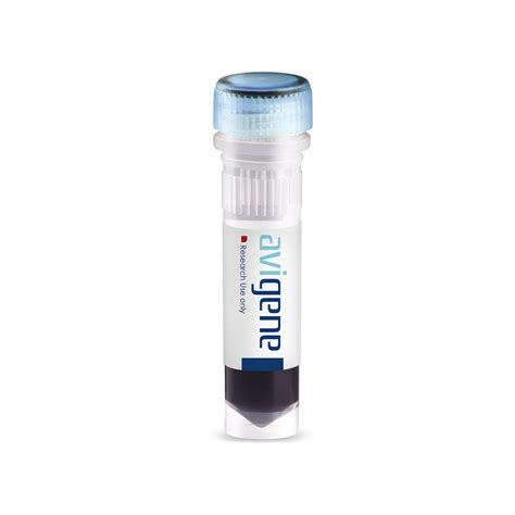 Avitri™ Dna Loading Dye 3 Colors High Sensitive 1ml