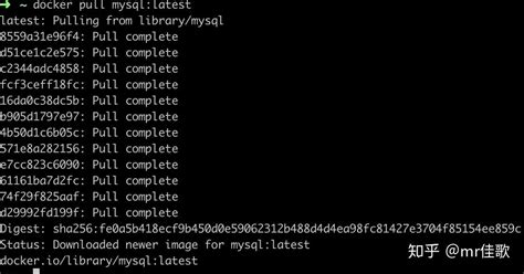 mac os 配置docker mysql 知乎