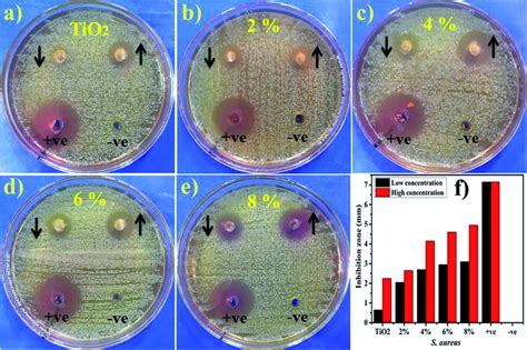a in vitro antimicrobial efficacy of tio2 control b zr doped