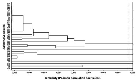 Dendrogram Showing Relationships Between Salmonella Strains Isolated