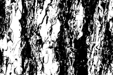 Tree Bark Pattern Vector Art Icons And Graphics For Free Download