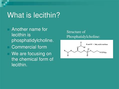 Ppt Lecithins Role In Reducing Cholesterol Powerpoint Presentation Id 769263
