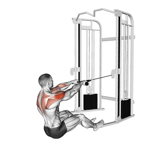Seated Face Pull Smartworkout