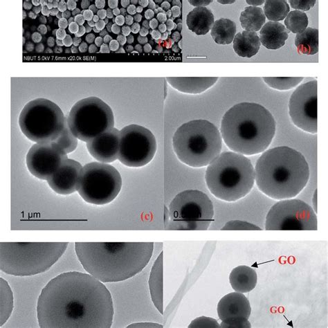 A Sem Image Of Fe 3 O 4 Microspheres B Tem Image Of Fe 3 O 4 Download Scientific Diagram