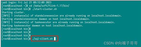 使用flink117 实时同步数据（mysql到sqlserver 或 Sqlserver 到sqlserver）flink Sql