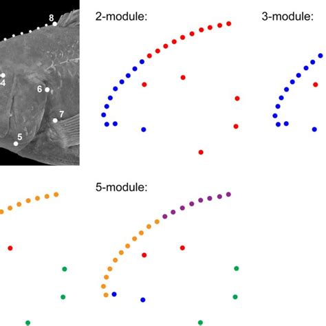 Scree Plots Showing The Proportion Of Variation Explained By Each