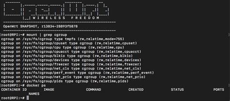 docker ce broken cgroup subsystem devices is missing · issue 13052