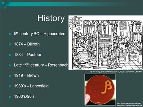 Exams And Me Streptococcus Sanguinis