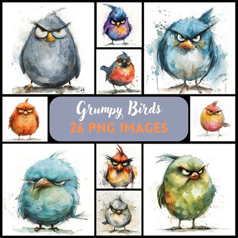 Grumpy Bird Clipart Cute Fluffy Bird Digital Clipart Watercolor Clipart High Quality 
