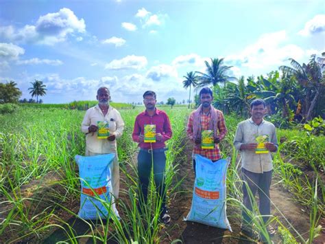 Saurabh Jadhav On Linkedin Demonstration2bnpp Empoweringfarmers