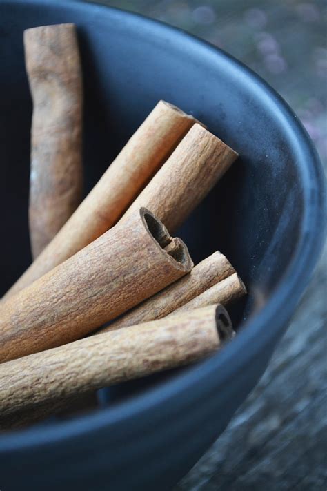 5 Autumn Spices For The Herbalists Kitchen Herbal Academy
