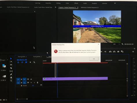what does this vague error mean r premiere