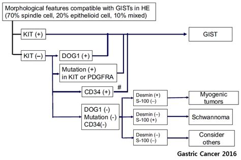 Gist 위장관 간질성 종양 위장관 기질종양 Endotoday 이준행