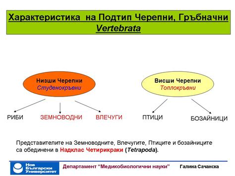 418 Животинско царство Гръбначни животни Земноводни и влечуги